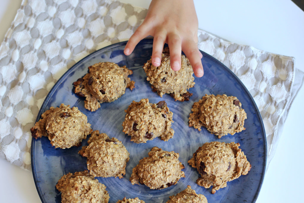 Cinnamon Horchata Breakfast Cookies – Orgain